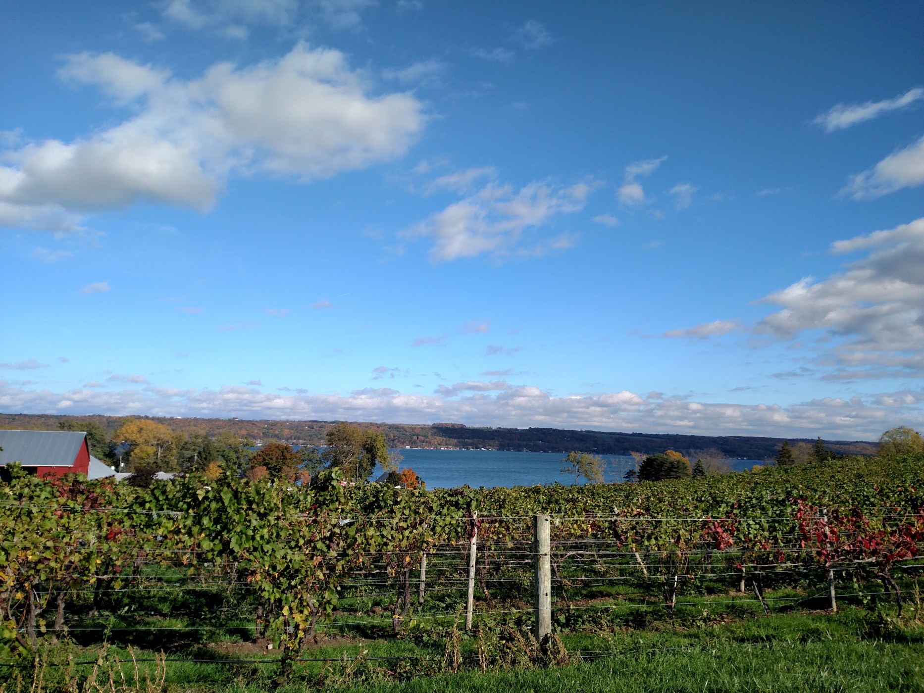 West Cayuga Lake Wine Tour | Experience the Finger Lakes