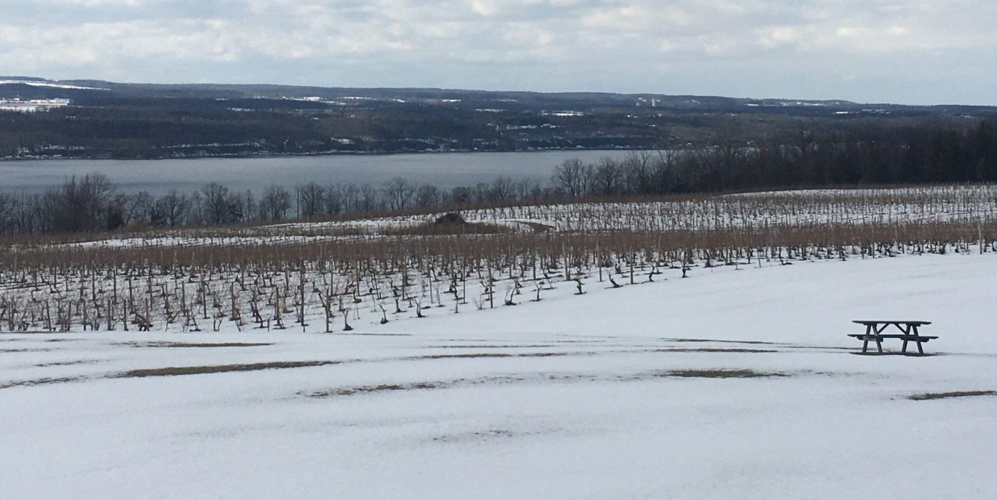 Winter, Wine, and Munch Tour | Experience the Finger Lakes