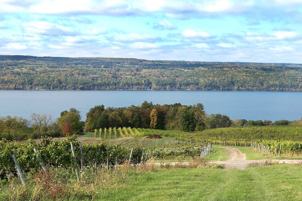 Seneca Lake | Experience the Finger Lakes