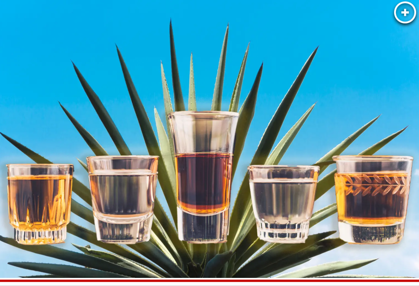 A Spirited Mexican Tequila-Pairing Demonstration Dinner | Experience ...